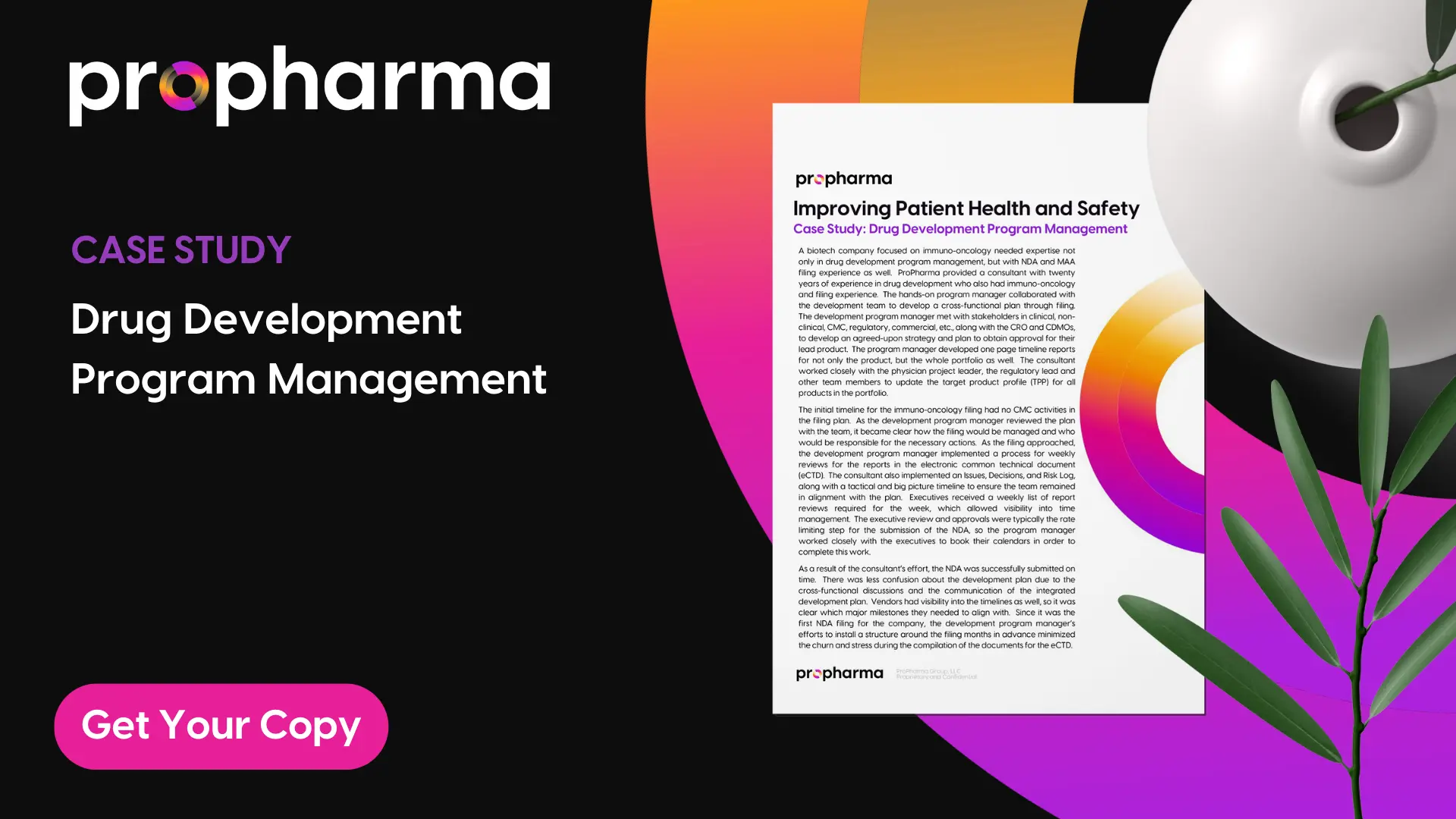 Drug Development Program Management Case Study